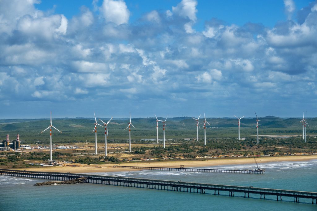 Grenergy Renovables plans to build four B20 plants in Latin America