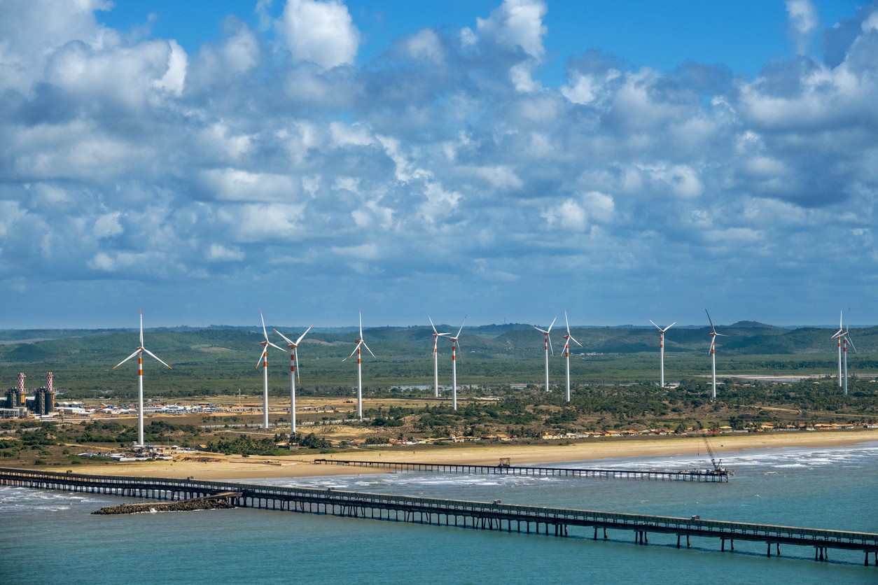 Grenergy Renovables plans to build four B20 plants in Latin America